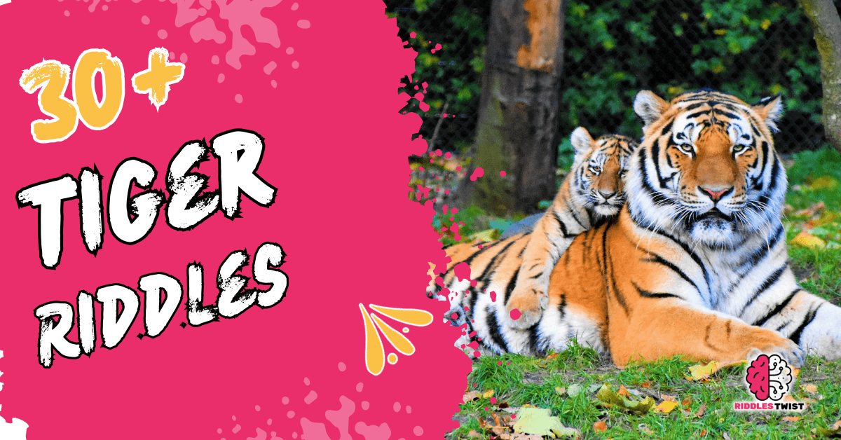 Solve These Tiger Riddles and Prove Your Prowess - Riddles Twist