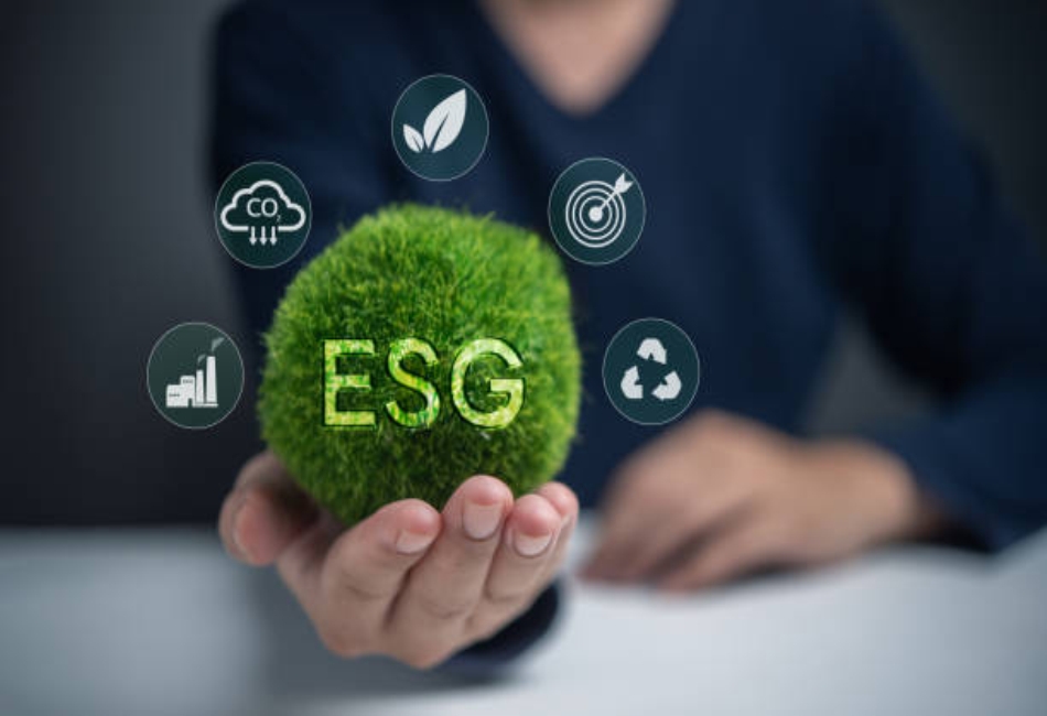 The Challenges of ESG: Understanding the Complexities of ESG Disclosure