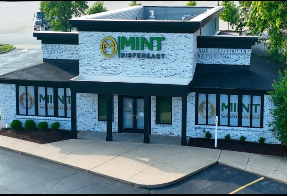 Mint: The Refreshing Herb with a Wealth of Benefits